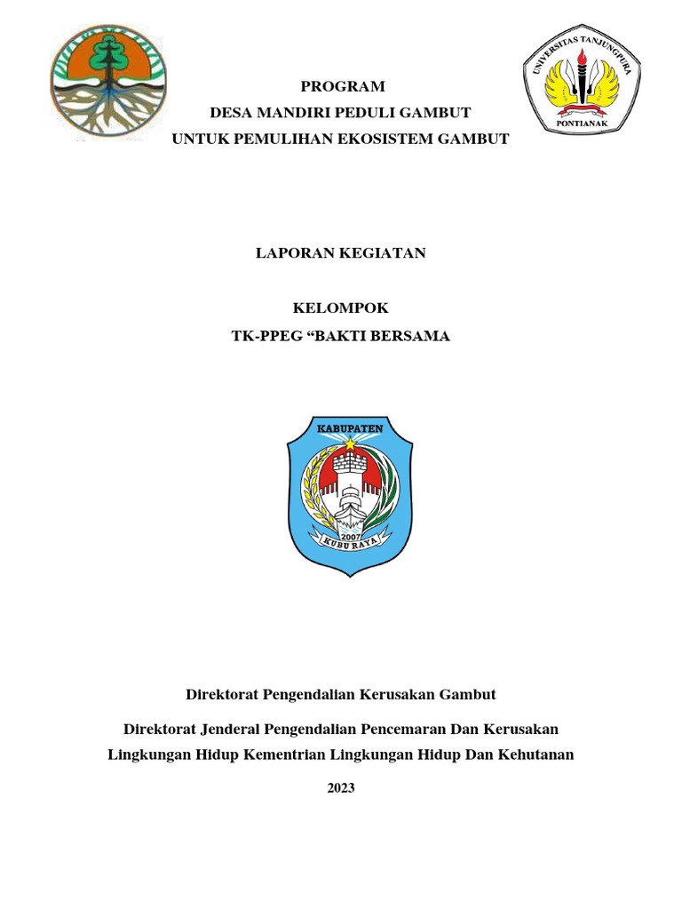 LAPORAN KEGIATAN Pelaksanaan RKM | PDF