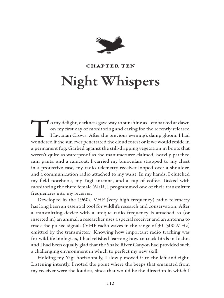 Feather Trails, Chapter 10: Night Whispers | PDF | Radio