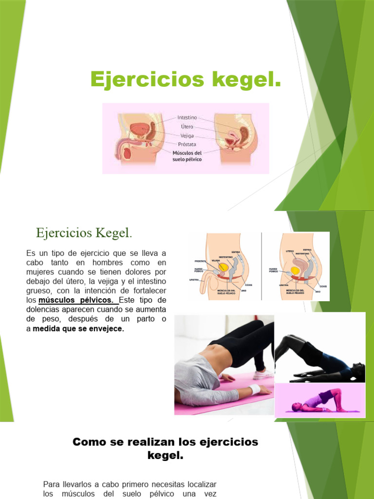 Ejercicios kegel | PDF | Músculo