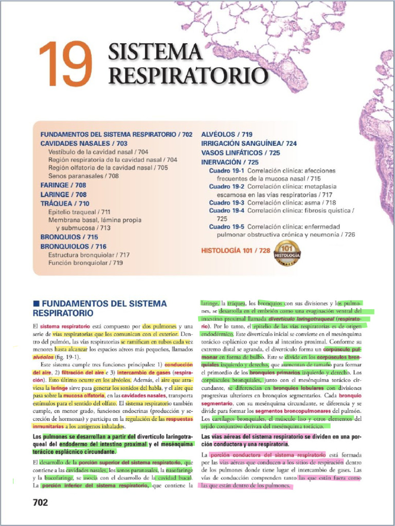 Libro de Histologia de Ross 8°edición-719-756 | PDF