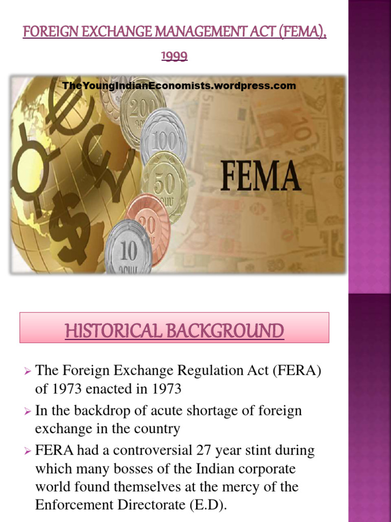 FERA vs FEMA: Key Differences Explained | PDF | Private Sector ...