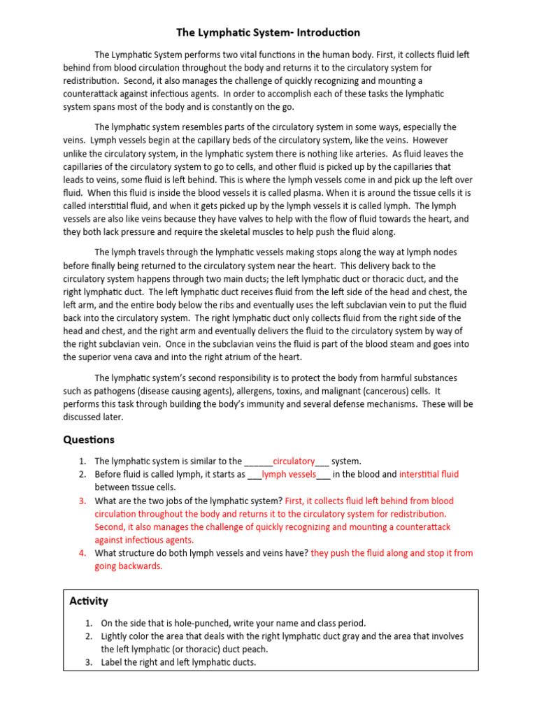 Lymphatic Long Activity | PDF | Lymph | Lymphatic System