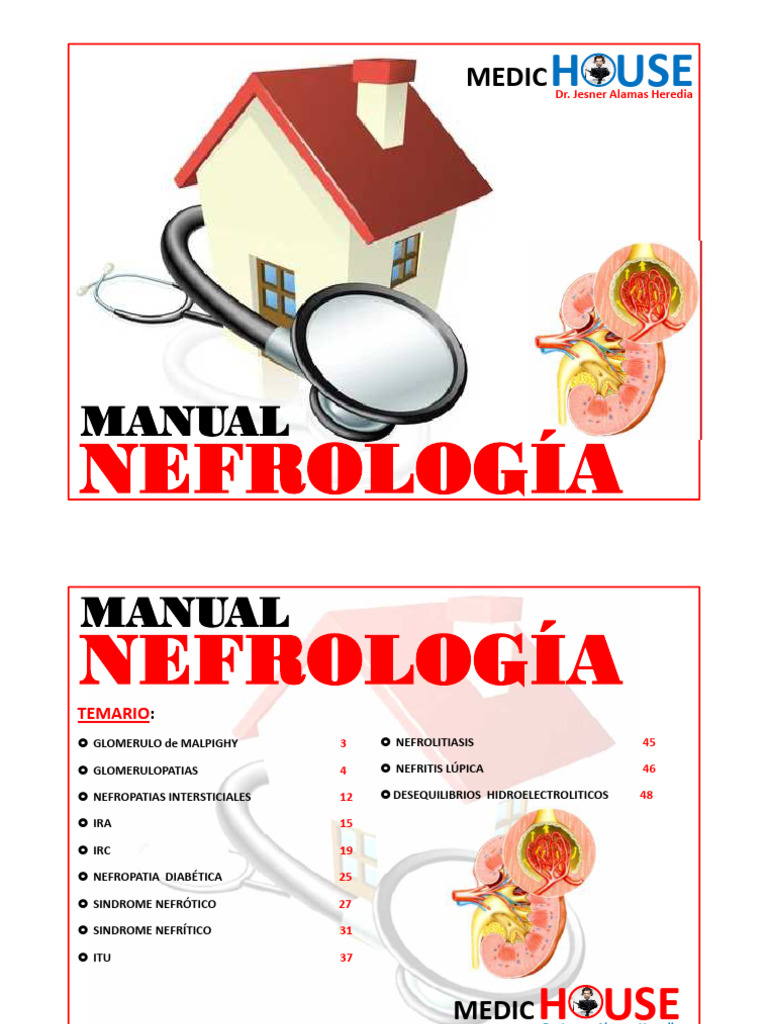 NEFRO | PDF | Riñón | Especialidades Medicas