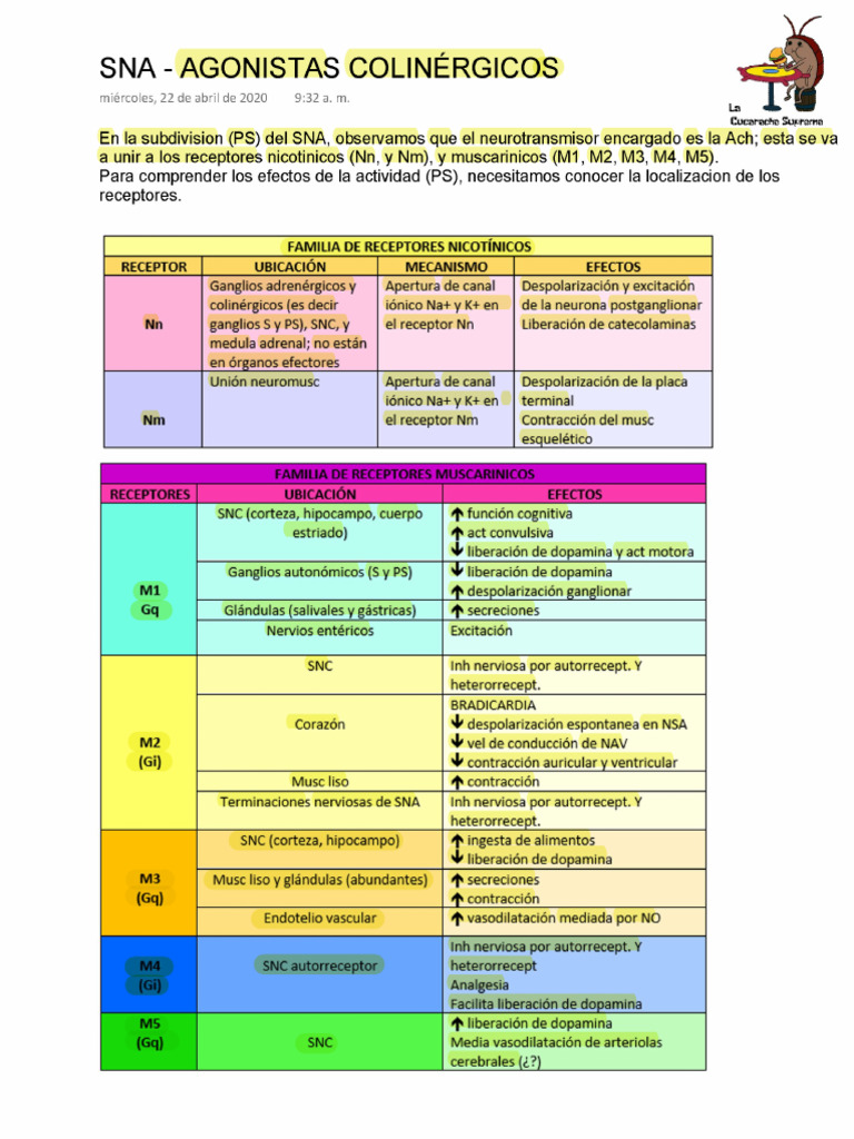 Agonistas Colinérgicos: Guía Clínica | PDF | Acetilcolina | Neuroquímica