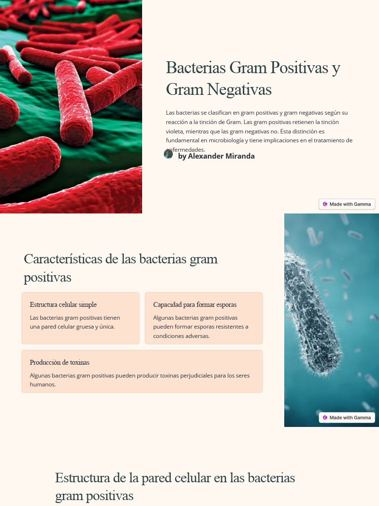 Bacterias Gram Positivas y Gram Negativas | PDF | Bacterias Gram ...
