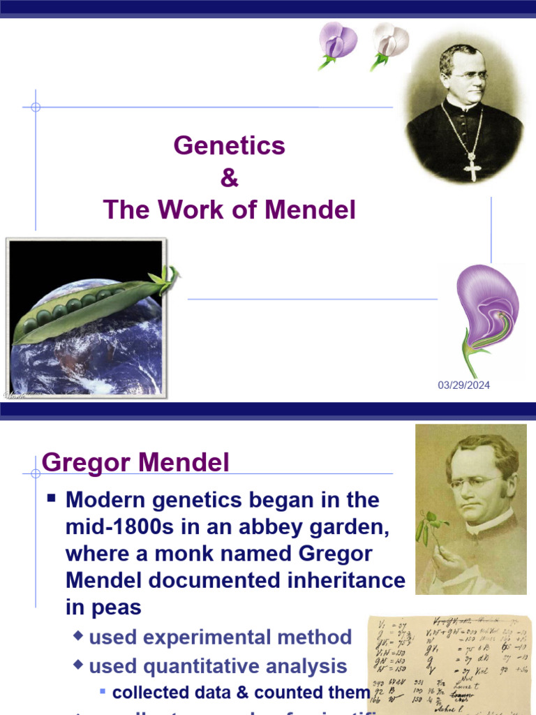 Mendelian Genetics Pdf Genetic Linkage Dominance Genetics