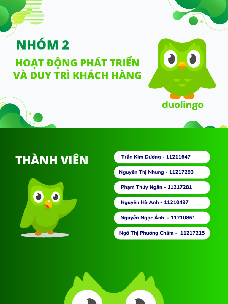 CRM - Duolingo | PDF