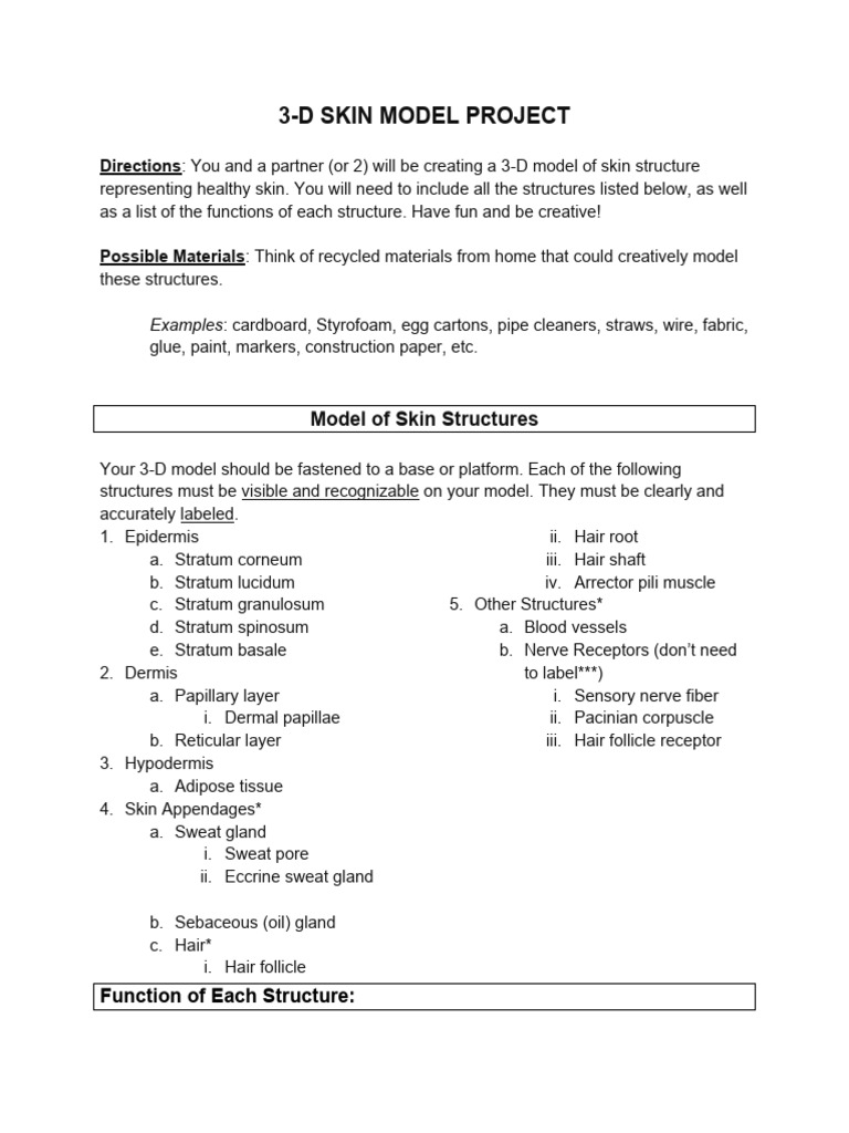 3-D Skin Model Project Guide | PDF | Skin | Anatomy