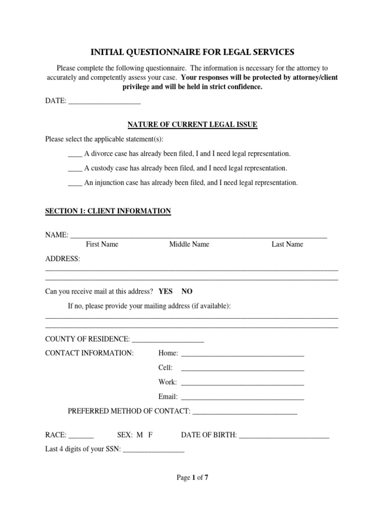 Initial Questionnaire - Family Law Case in Progress | PDF | Child ...