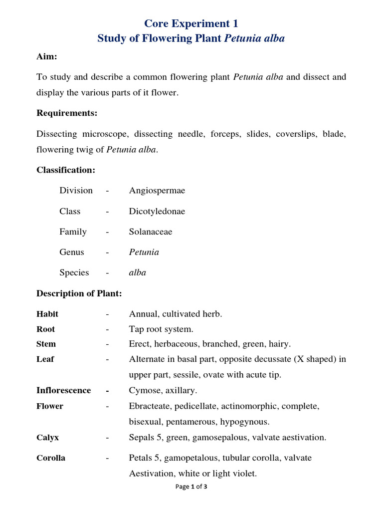 Petunia alba Flower Dissection Guide | PDF