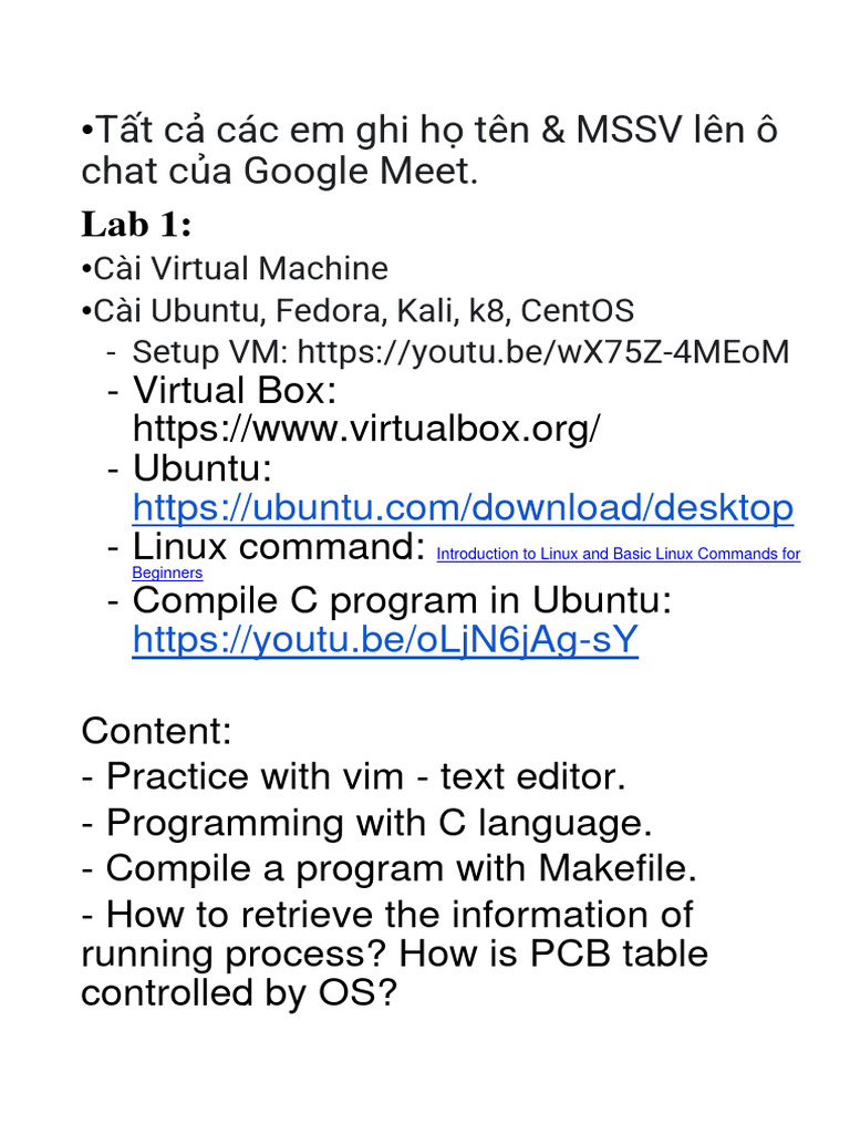 0S Labs Inclass Guide - HK221 | PDF | Pointer (Computer Programming) | Computer Science