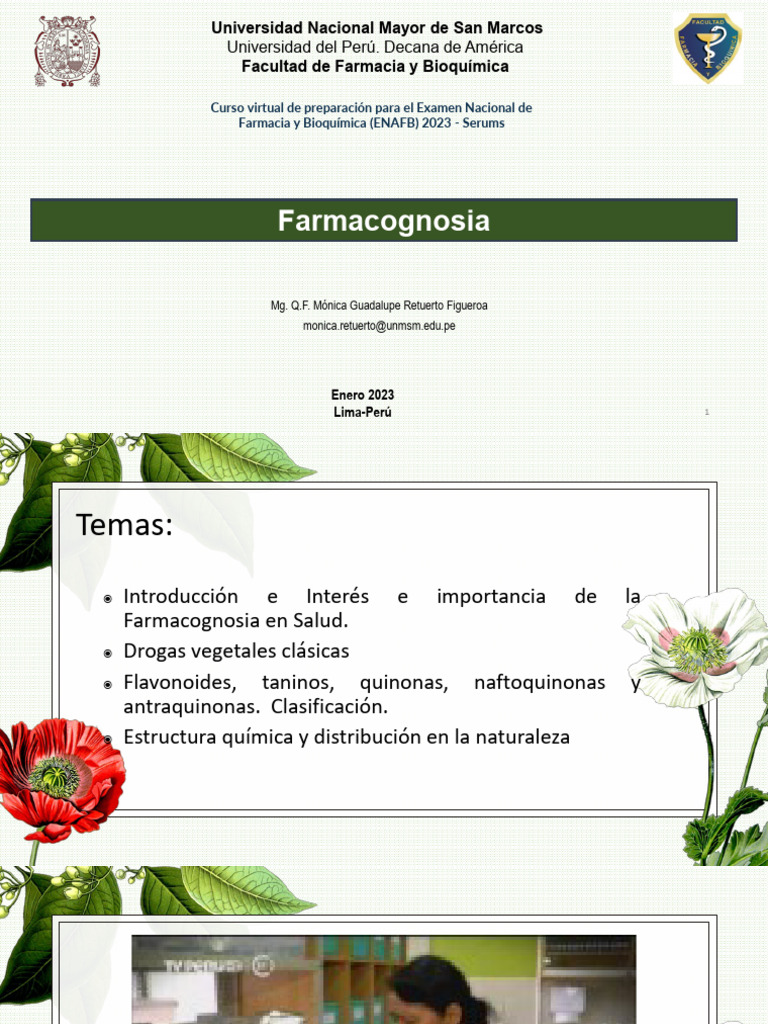 Importancia de la Farmacognosia en Salud | PDF | Flavonoide | Plantas ...