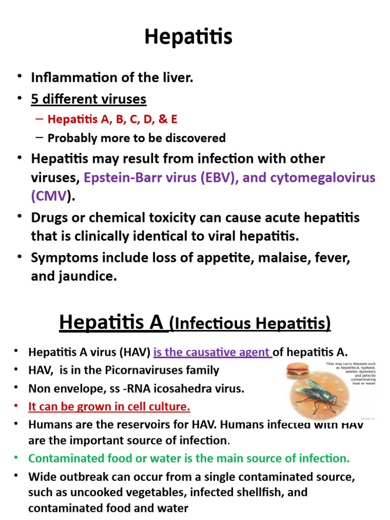 PDF, A, Hepatitis | PDF | Hepatitis | Serology