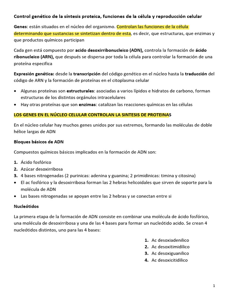 Control Genético y Síntesis de Proteínas | PDF | Rna | Adn