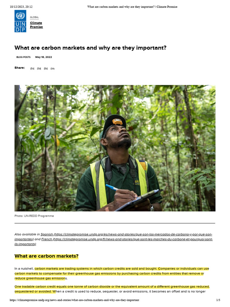 What Are Carbon Markets and Why Are They Important - Climate Promise ...