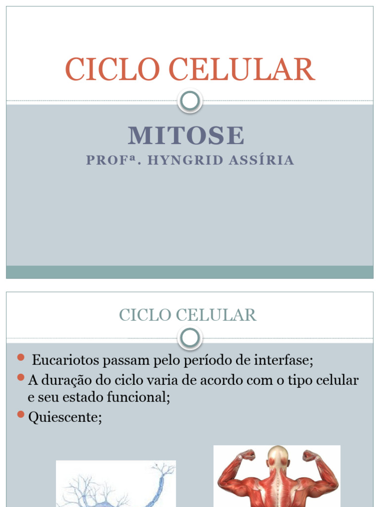 Ciclo Celular-Mitose Meiose | PDF | Meiose | Mitose