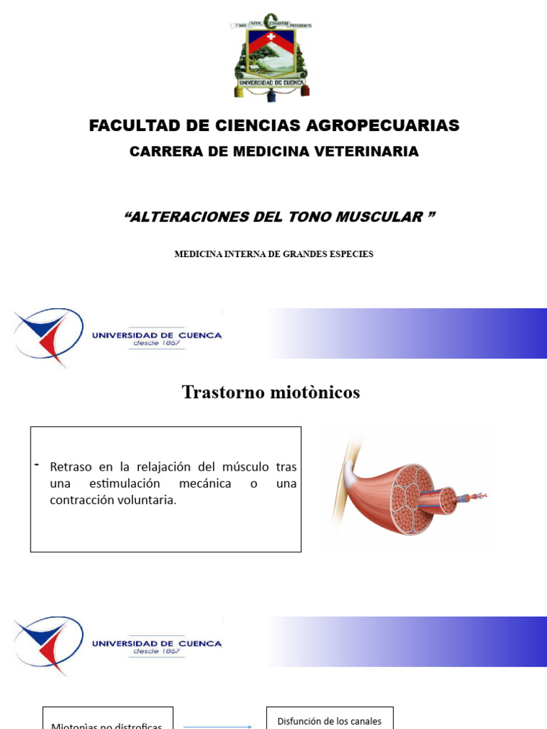 Alteraciones Del Tono Muscular EQUINOS | PDF | Potasio | Química