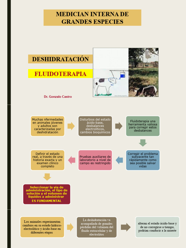 Fluid Oter Apia | PDF | Solución tampón | Fisiología