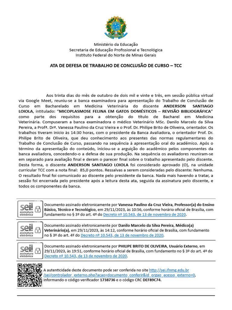 Sei Ifnmg 1738736 Ensino Ata De Defesa De Tcc Pdf Medicina