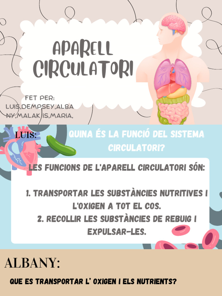 Aparell Circulatori | PDF
