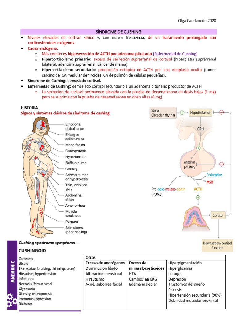 Síndrome de Cushing: Diagnóstico y Tratamiento | PDF | Cortisol ...