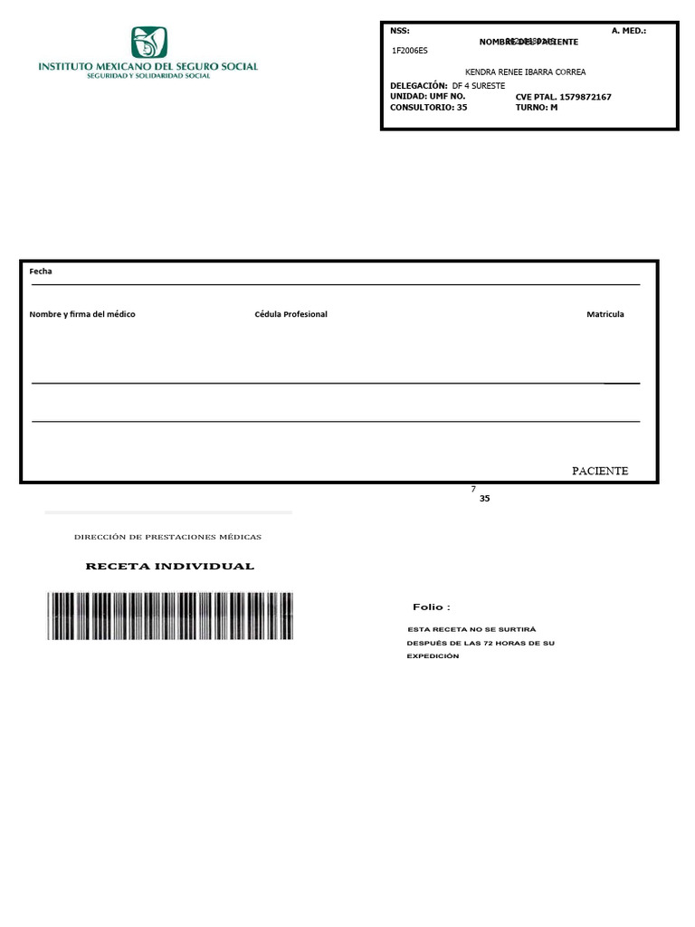 Formato de Receta Medica Imss Editable | PDF