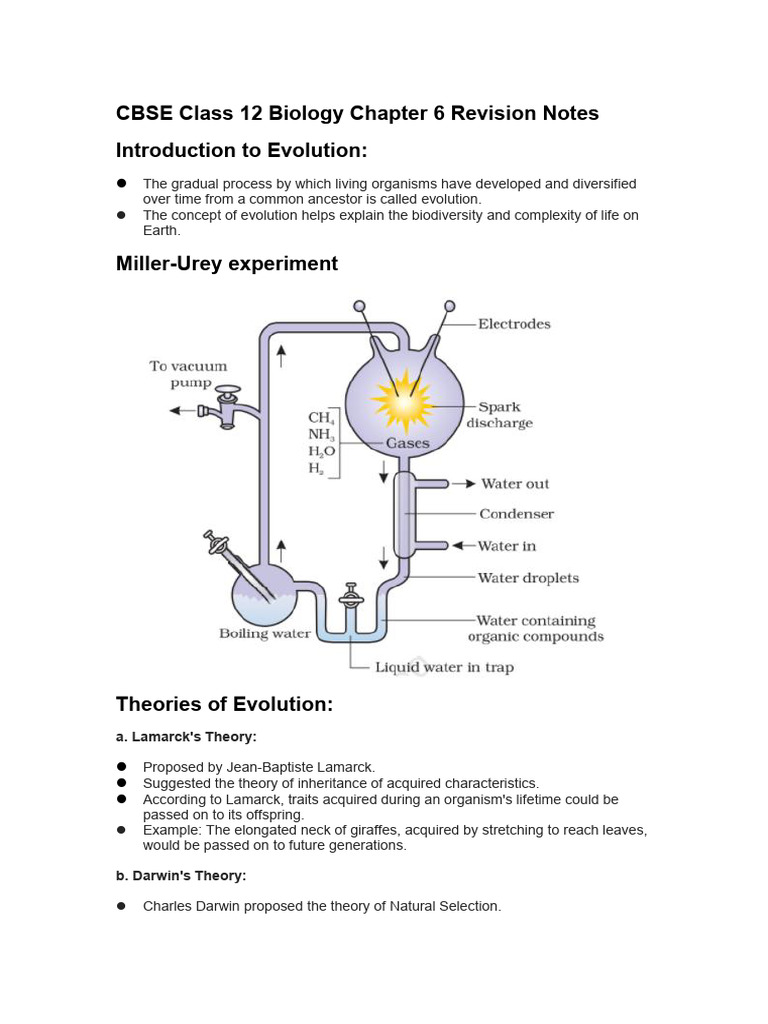 Class 12 Biology Chapter 6 Revision Notes | PDF | Evolution | Gene