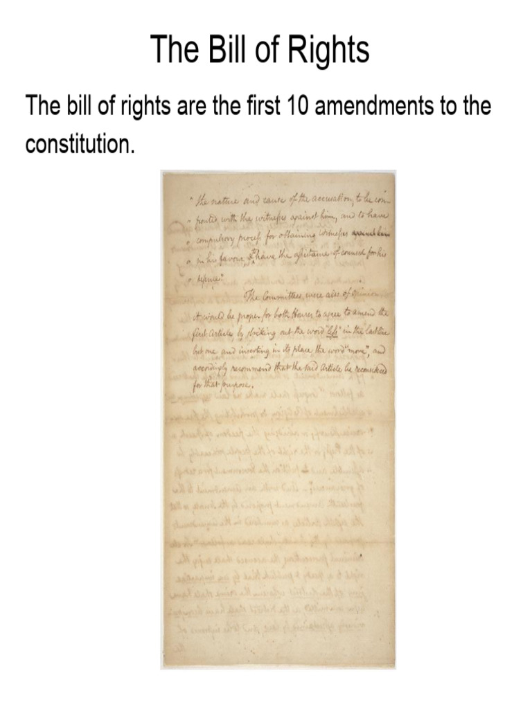 Bill of Rights Comic | PDF