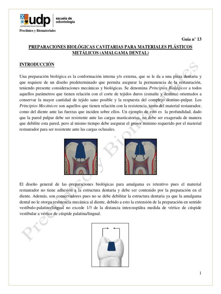 Guia Preparacion Cavitaria de Amalgama | PDF | Diente | Ramas de ...