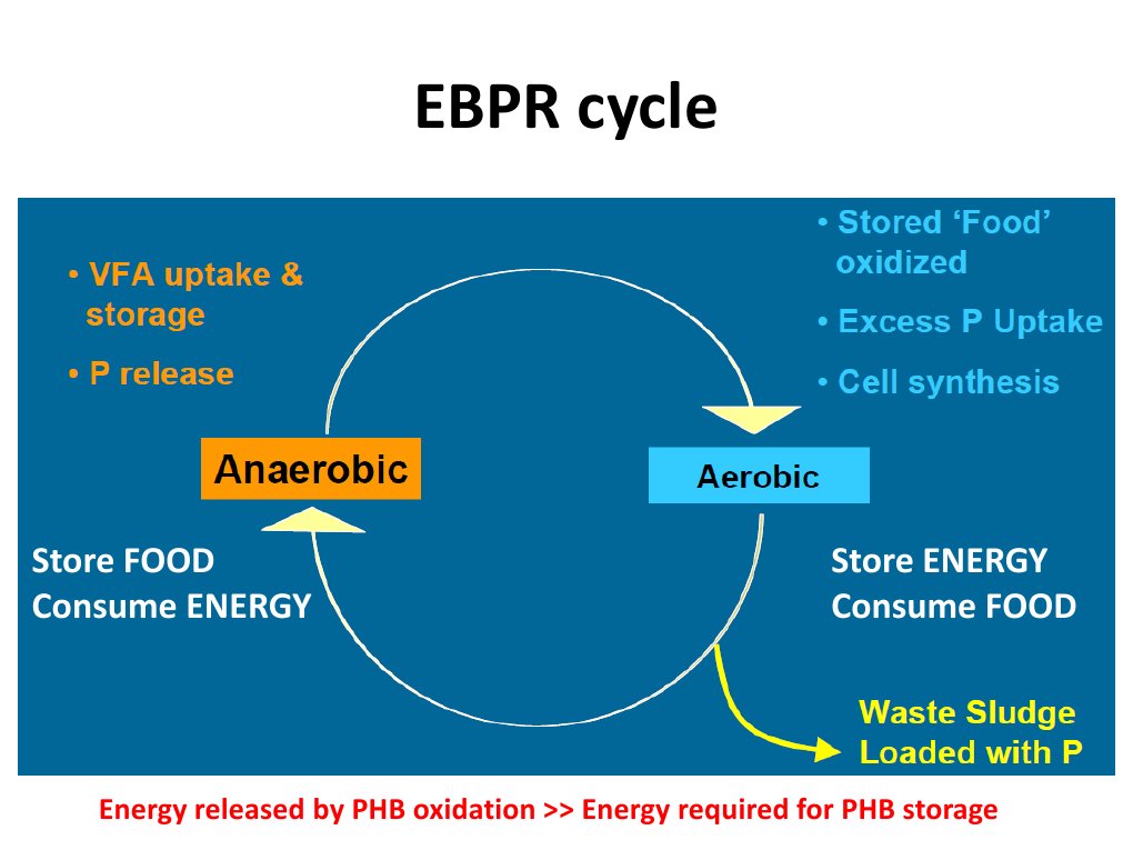 EBPR Cycle | PDF