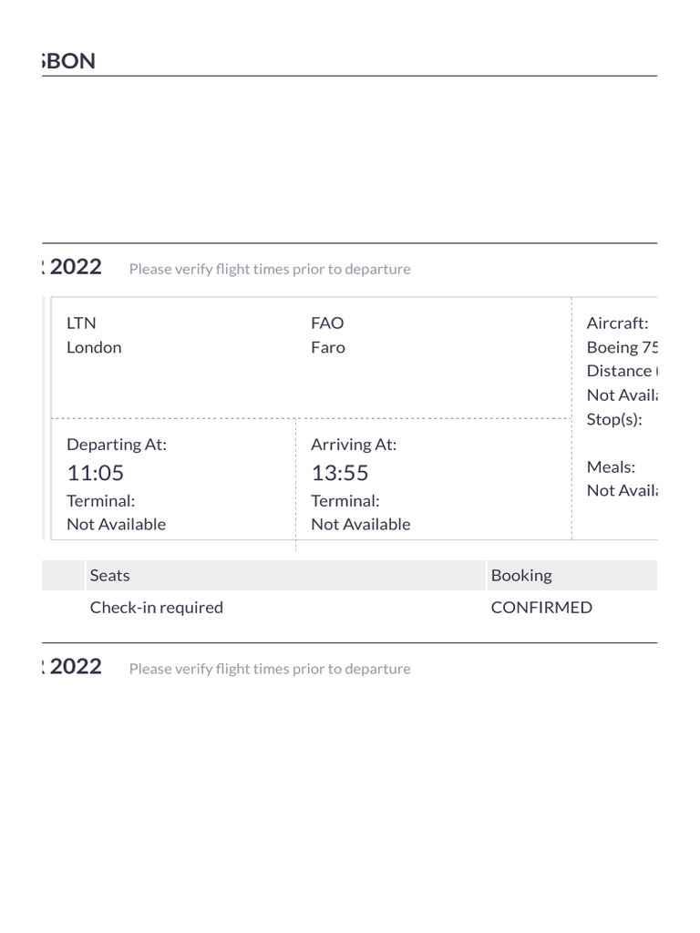 Free Fake Flight Ticket Template | PDF