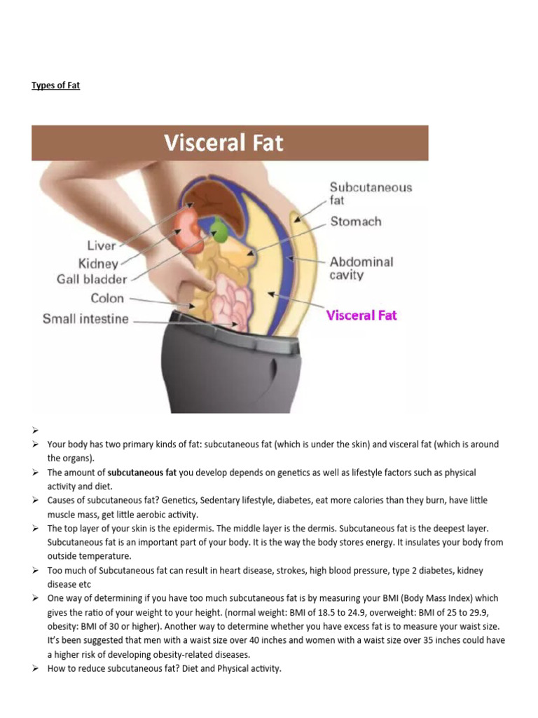 Body Fat | PDF | Adipose Tissue | Foods