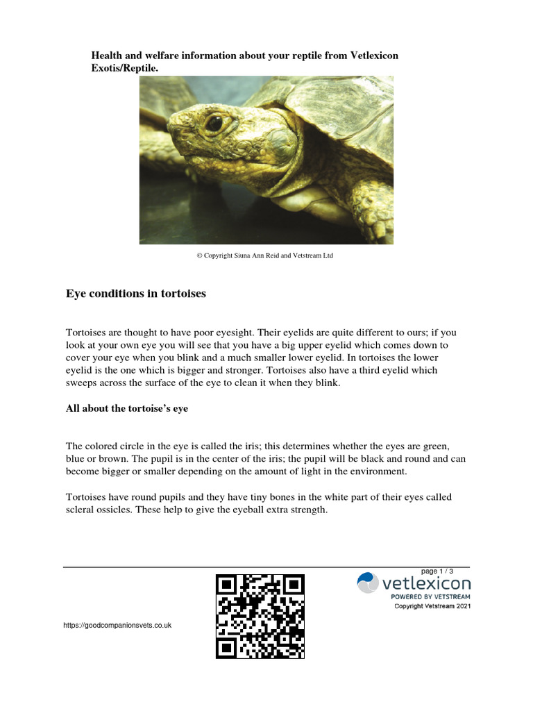 Eye Conditions in Tortoises From Vetlexicon Reptile | PDF | Cataract | Eye