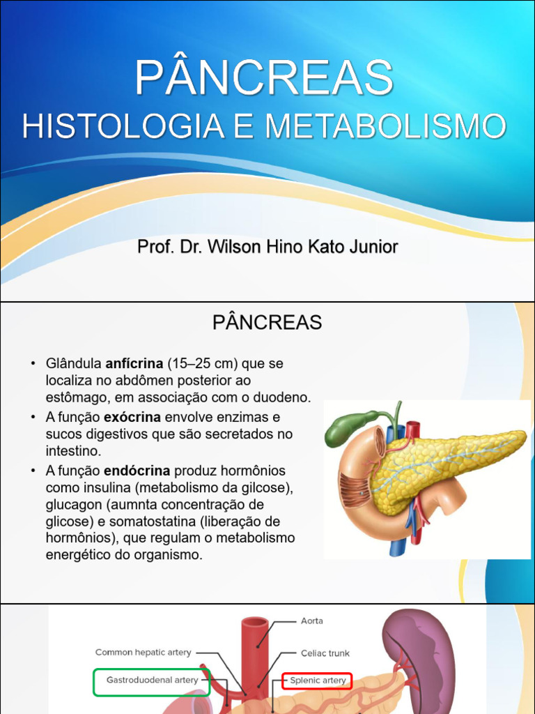 PÂNCREAS | PDF | Pâncreas | Diabetes