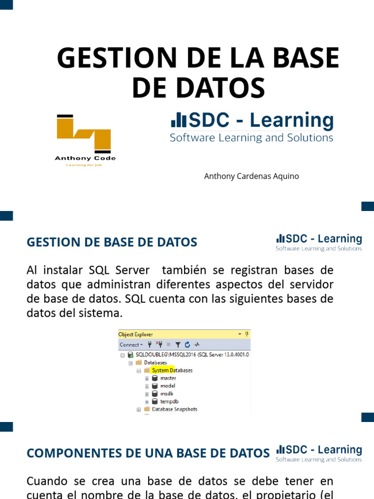 Gestion de La Base de Datos | PDF | Servidor SQL de Microsoft | Archivo de computadora