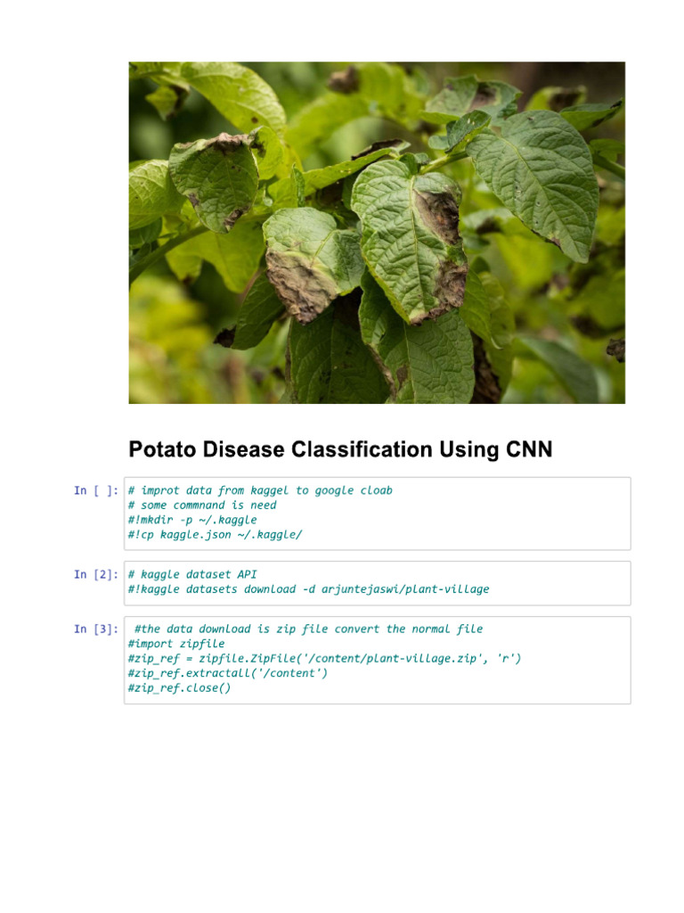 Potato Disease Classification Using Cnn Pdf