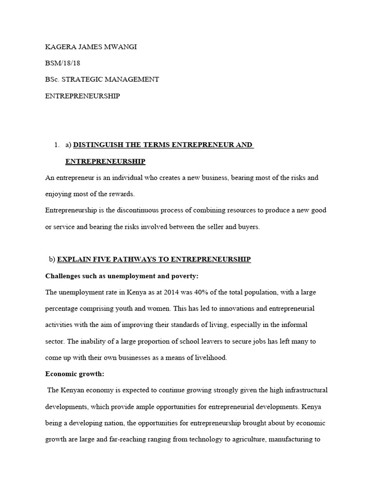 Entrepreneurship Assignment | PDF | Entrepreneurship | Business Plan