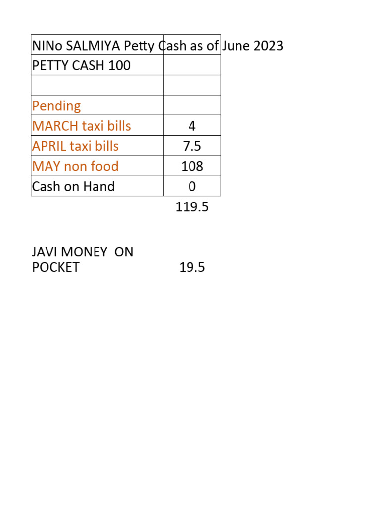 Petty Cash Update | PDF
