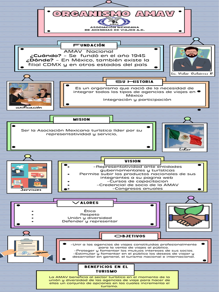 Infográfico de AMAV | PDF