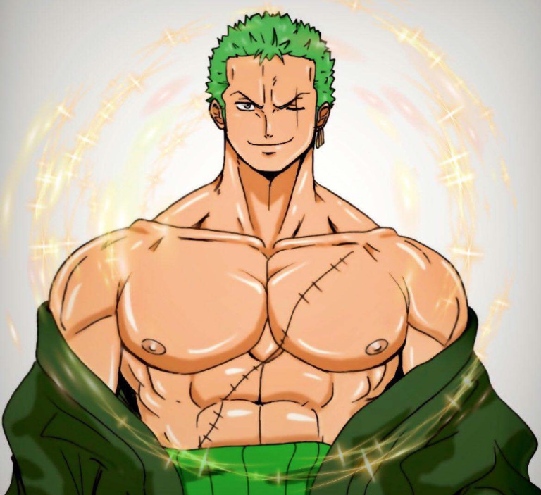 Zoro | PDF
