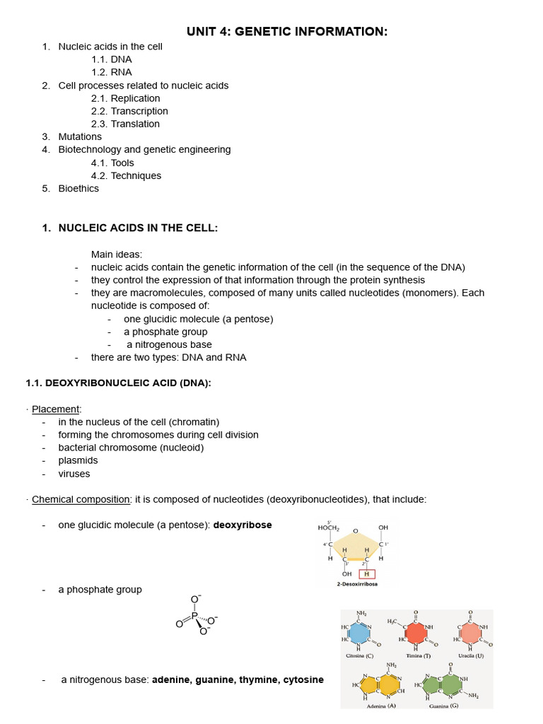 Unit 4. Genetic Information | Download Free PDF | Nucleic Acids | Rna