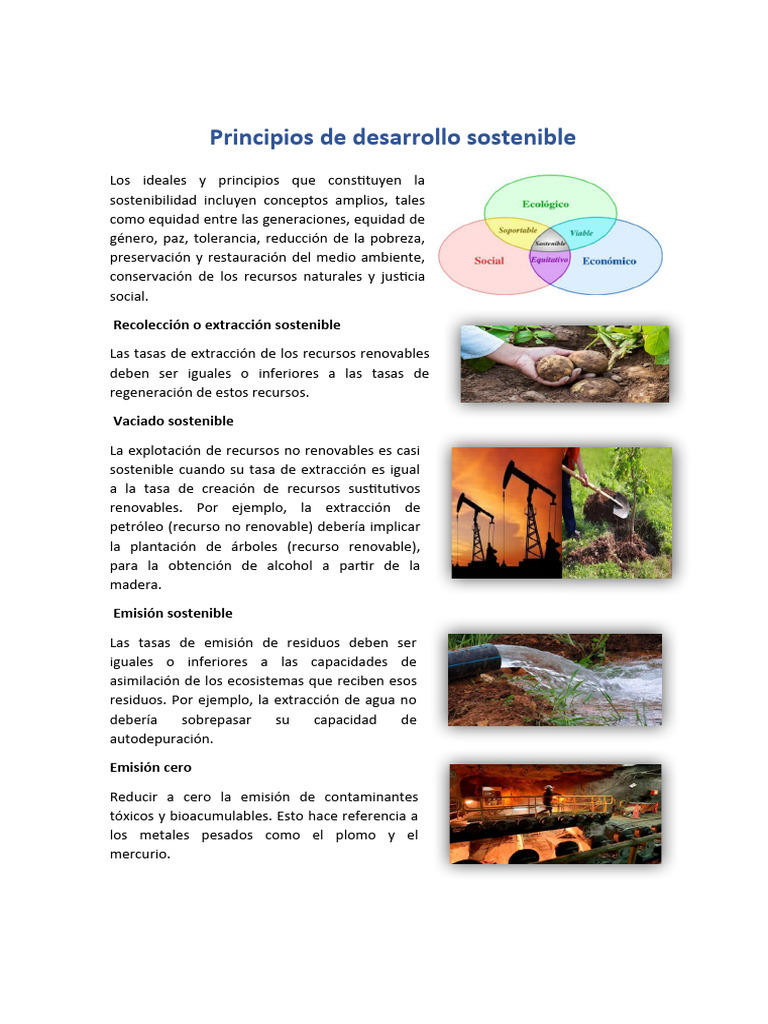 Principios Del Desarrollo Sostenible | PDF