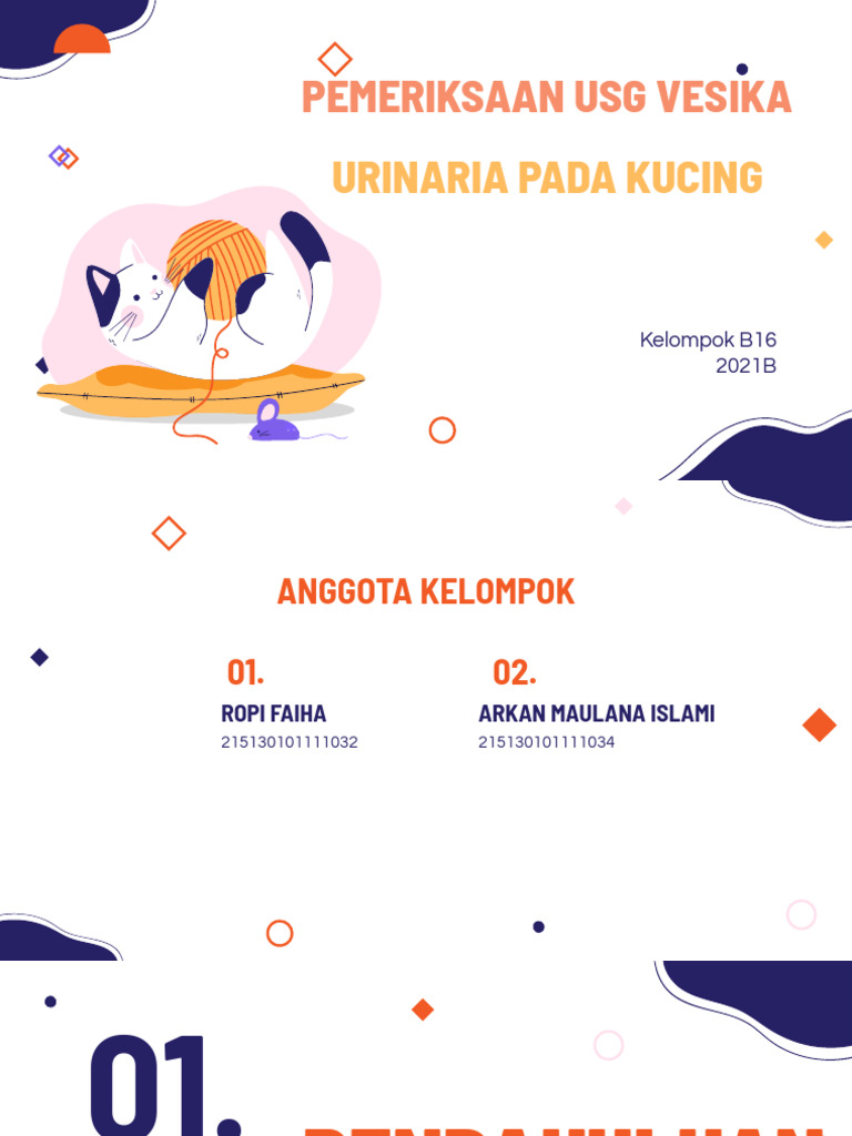 USG Vesika Urinaria Kucing: Urolithiasis | PDF