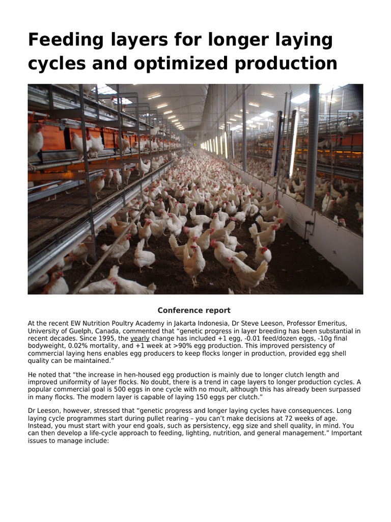 Feeding Layers For Longer Laying Cycles and Optimized Production | PDF ...