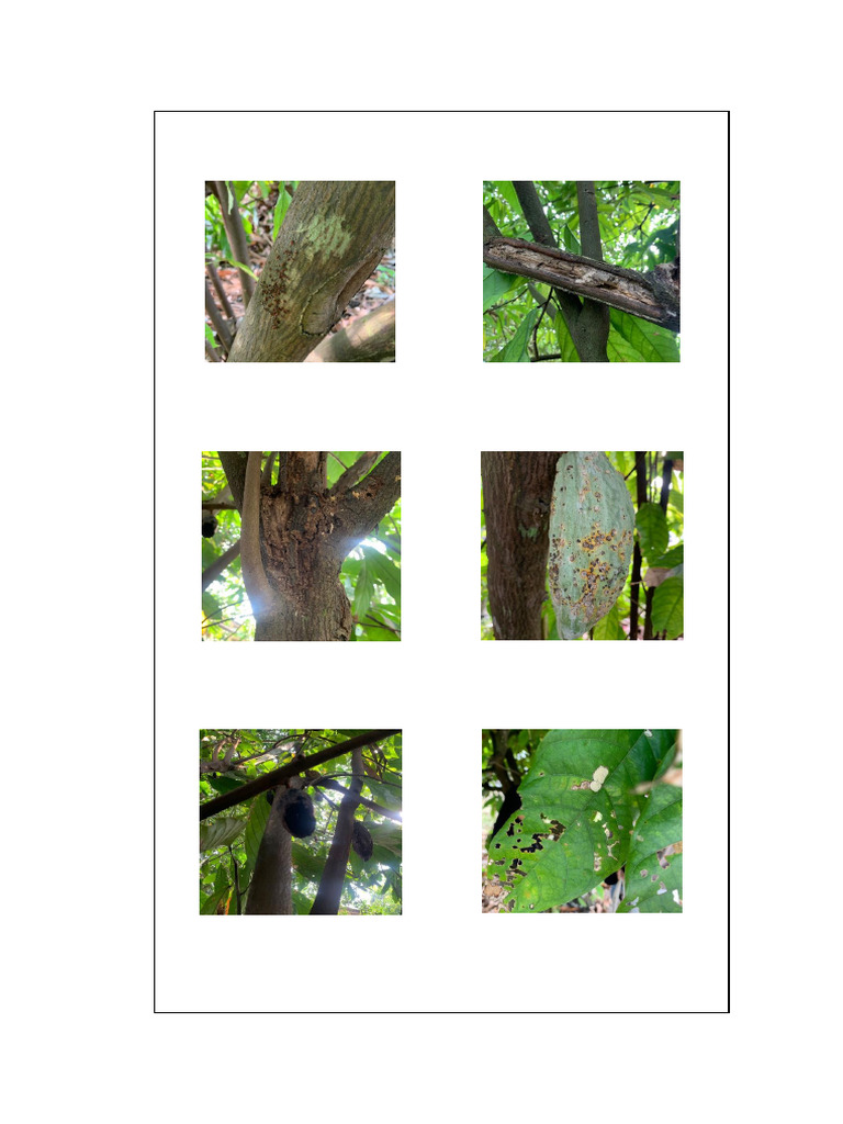 Dokumeentasi Htpi 2 | PDF