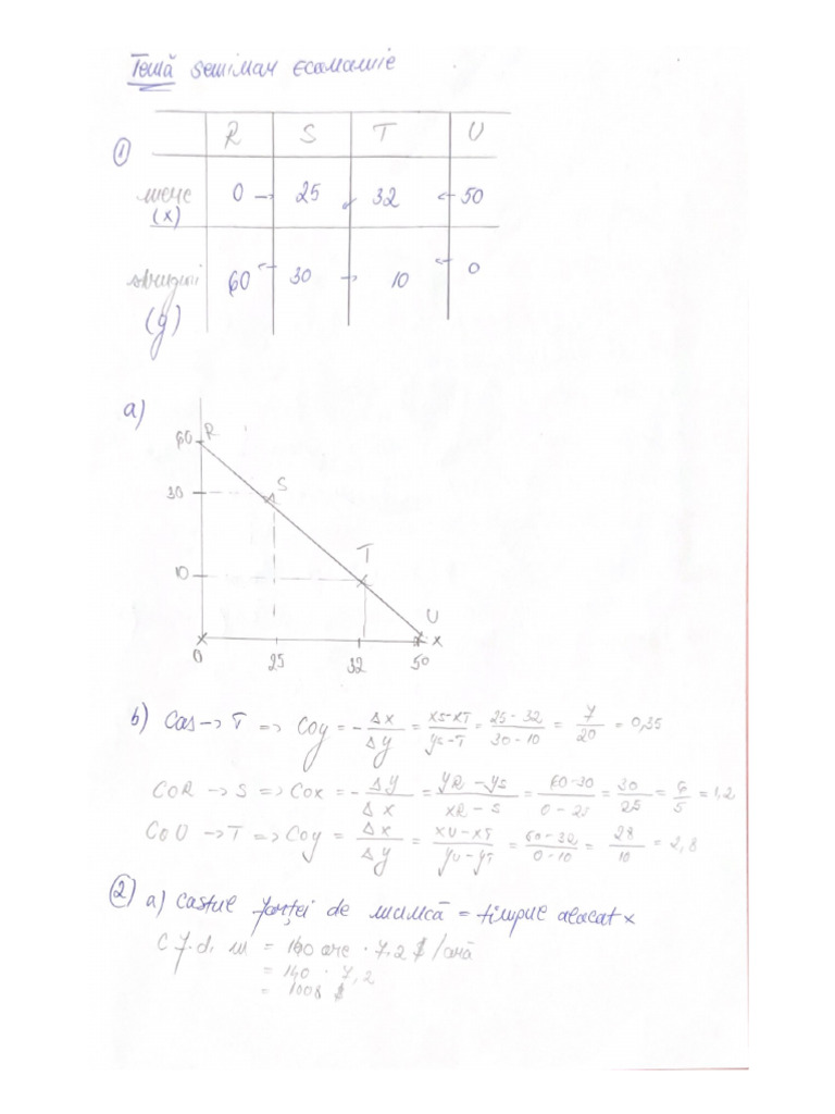 Documente Scanate | PDF