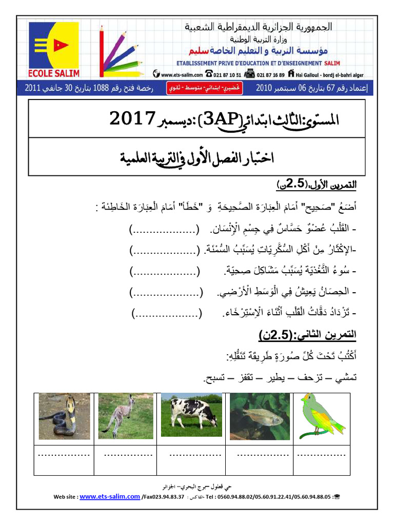 Dzexams 3ap Technologie 358620 | PDF