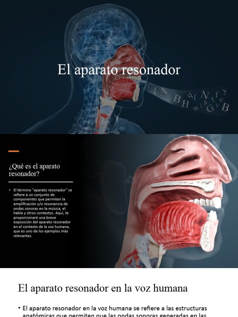 Componentes del Aparato Resonador | PDF | Comunicación | Voz humana
