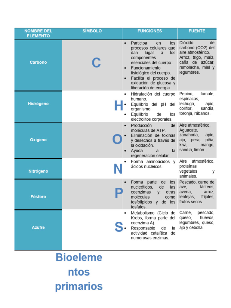 Bioelementos Tabla | PDF | Metabolismo | Legumbre
