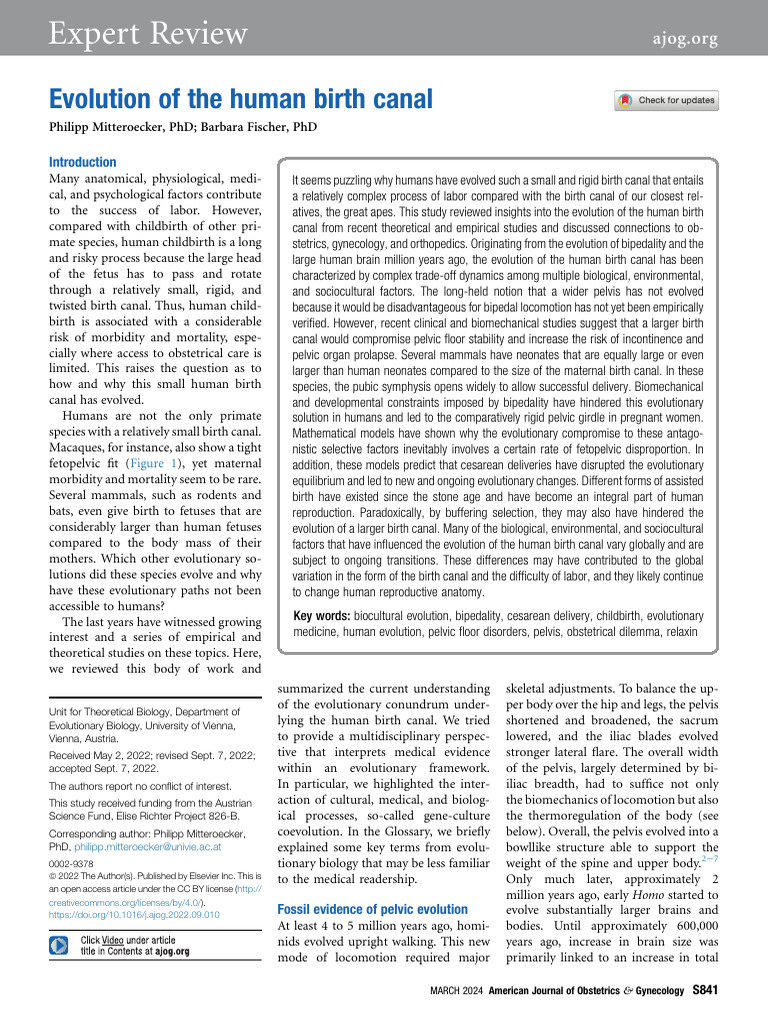 Evolution of The Human Birth Canal: Philipp - Mitteroecker@univie - Ac ...